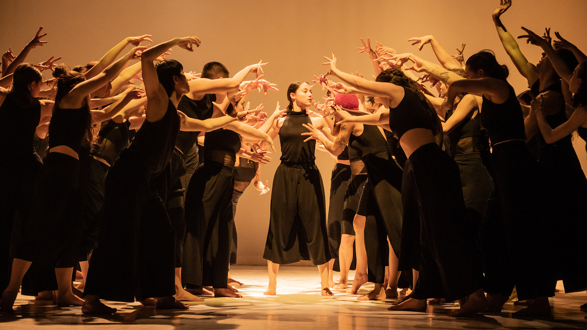 Photo gallery | École supérieure de ballet du Québec