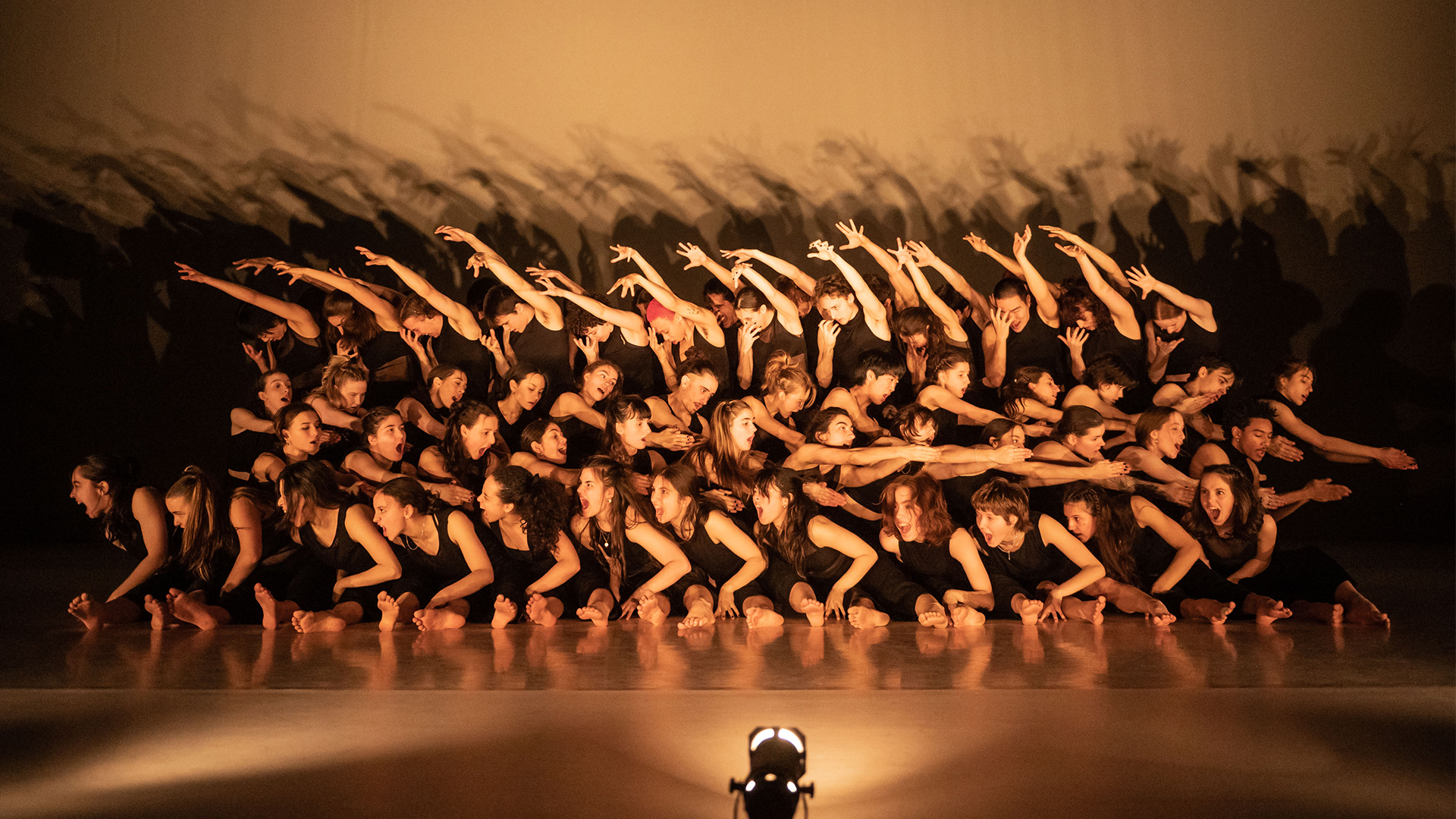 Galerie photo | École supérieure de ballet du Québec
